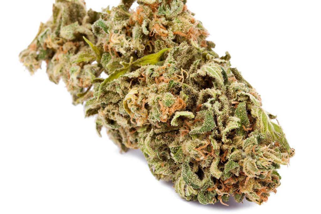 Flower • Recreational & Medical Marijuana Dispensary