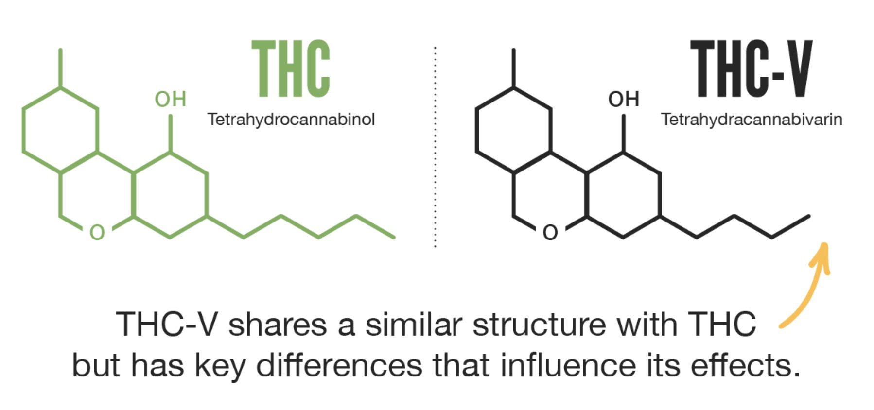 THC-V Explained: Discover the Benefits of This Unique Cannabinoid ...