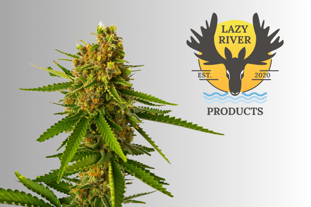 Buy Cannabis Flower Online: Premium Weed Strains at Lazy River